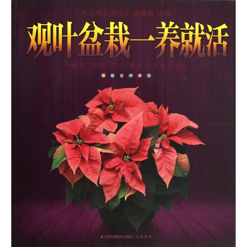 观叶盆栽一养就活