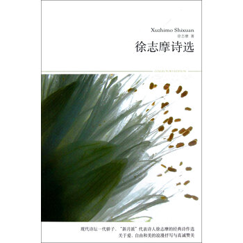 徐志摩诗选(插图本)/世界文学文库