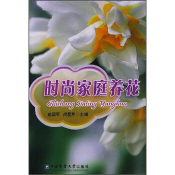 时尚家庭养花