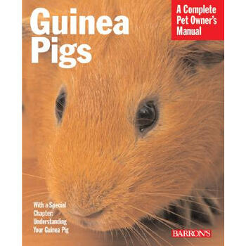 【】Guinea Pigs
