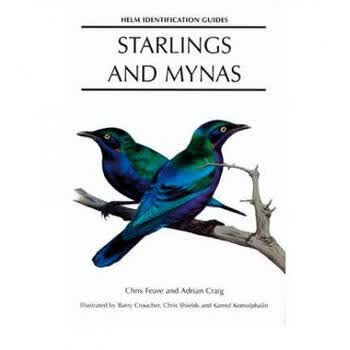Starlings and Mynas