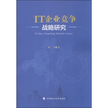 IT企业竞争战略研究