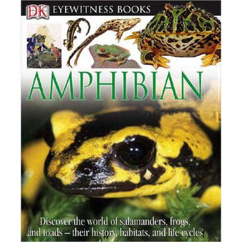 【】Amphibian