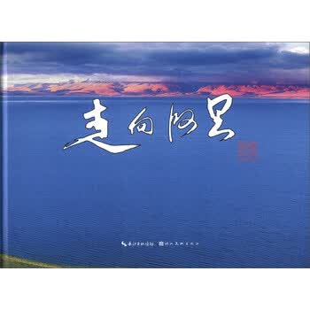 正版 走向阿里9787539464176