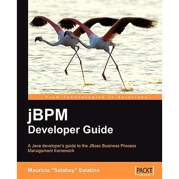 【】Jbpm Developer Guide