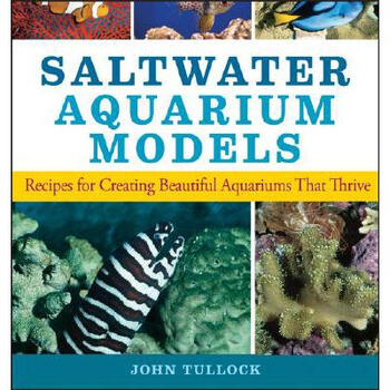 Saltwater Aquarium Models: Recipes for Creat...
