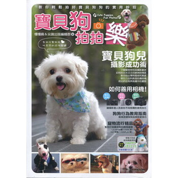 寶貝狗拍拍樂：教你輕鬆拍好寶貝狗狗的實用妙招！