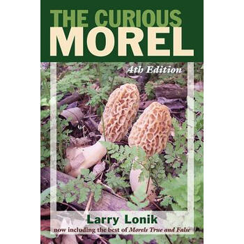 【】The Curious Morel