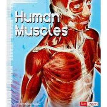 【】Human Muscles