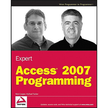 【】Expert Access 2007 Programming