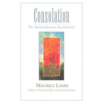 【】Consolation: The Spiritual Jour