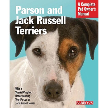 【】Parson and Jack Russell Terriers