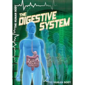 【】The Digestive System