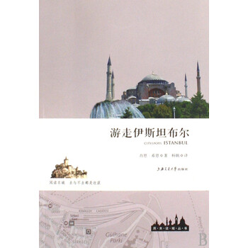 游走伊斯坦布尔/*读城丛书