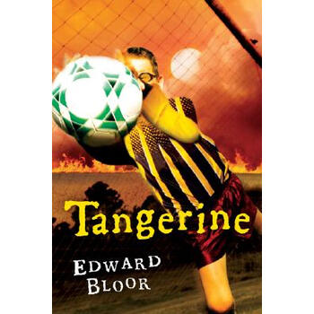 英文原版 Tangerine 橘子郡的故事