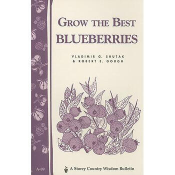 Grow the Best Blueberries
