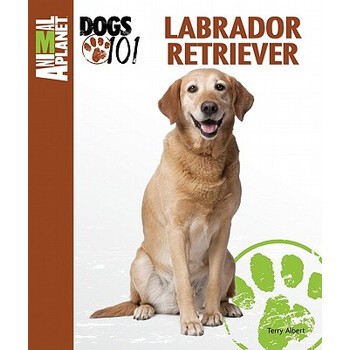 【】Labrador Retriever