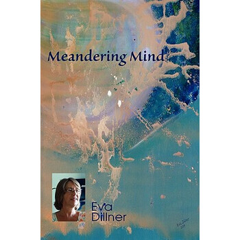 【】Meandering Mind