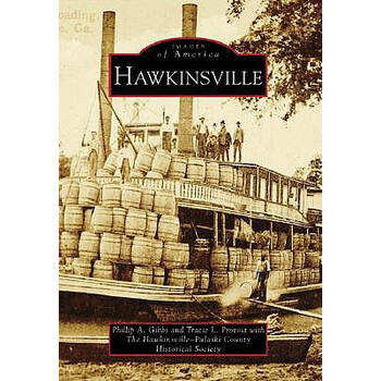 【】Hawkinsville
