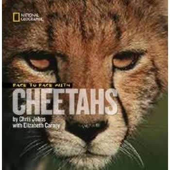【】Face to Face with Cheetahs