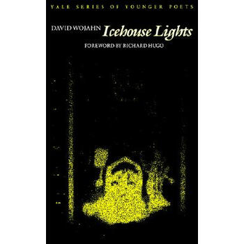 【】Icehouse Lights