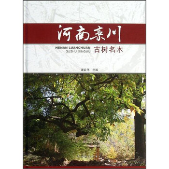 河南栾川古树名木
