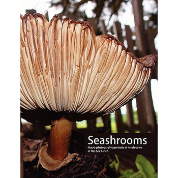【】Seashrooms