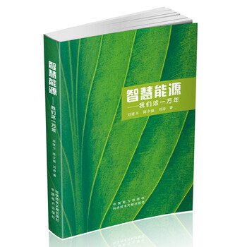 智慧能源：我们这一万年