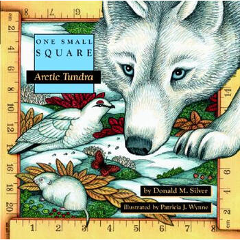 【】Arctic Tundra