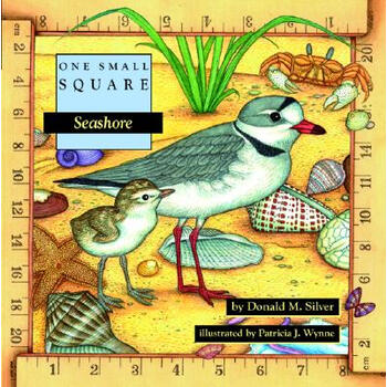 【】Seashore