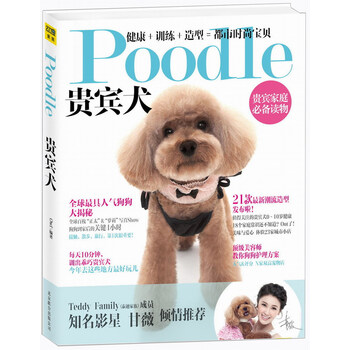 Poodle 贵宾犬