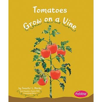 【】Tomatoes Grow on a Vine