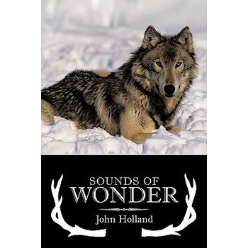 【】Sounds of Wonder