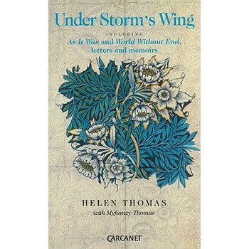 【】Under Storm's Wing