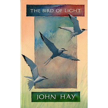 【】The Bird of Light