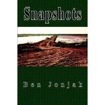 【】Snapshots
