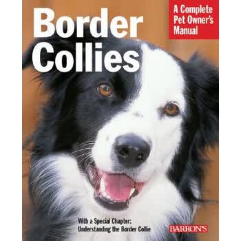 【】Border Collies: Everything about