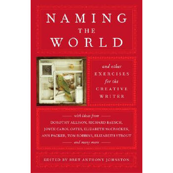【】Naming the World: And Other Exercises