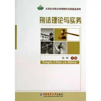 刑法理论与实务