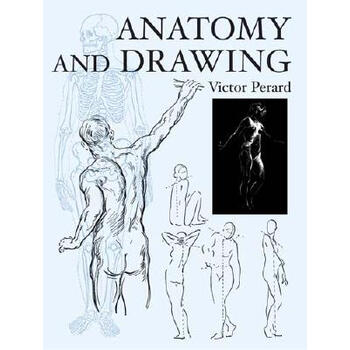 【】Anatomy and Drawing