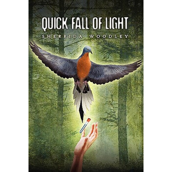 【】Quick Fall of Light