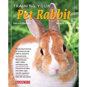 Training Your Pet Rabbit