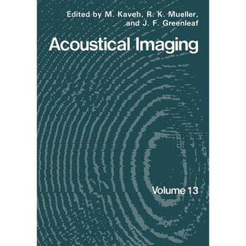 Acoustical Imaging