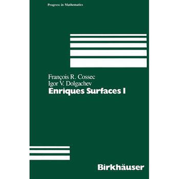 Enriques Surfaces I