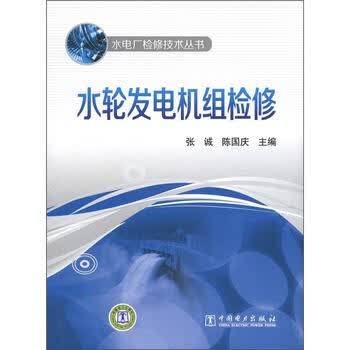 水电厂检修技术丛书：水轮发电机组检修