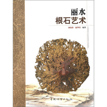 正版 丽水根石艺术9787503868115