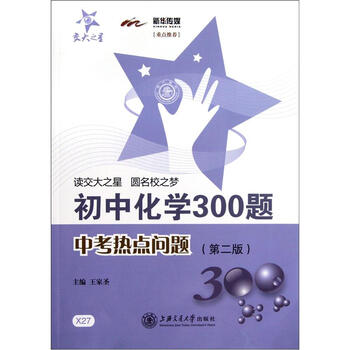 初中化学300题（中考热点问题）（第2版）