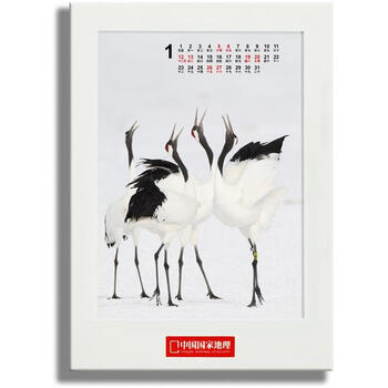 中国国家地理2013年台历：飞羽瞬间