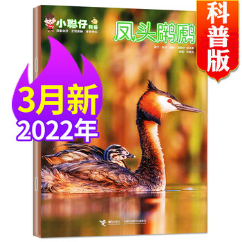 小聪仔（科普版）2022年6月新 【另有预售及往期可选】2~8岁幼儿益智兴趣智力开发儿童科普2021过期刊杂志单本 2022年3月