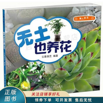 无土也养花